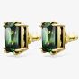 Swarovski 5677142 Matrix Green Rectangular Cut Stud Earrings - thbaker ...