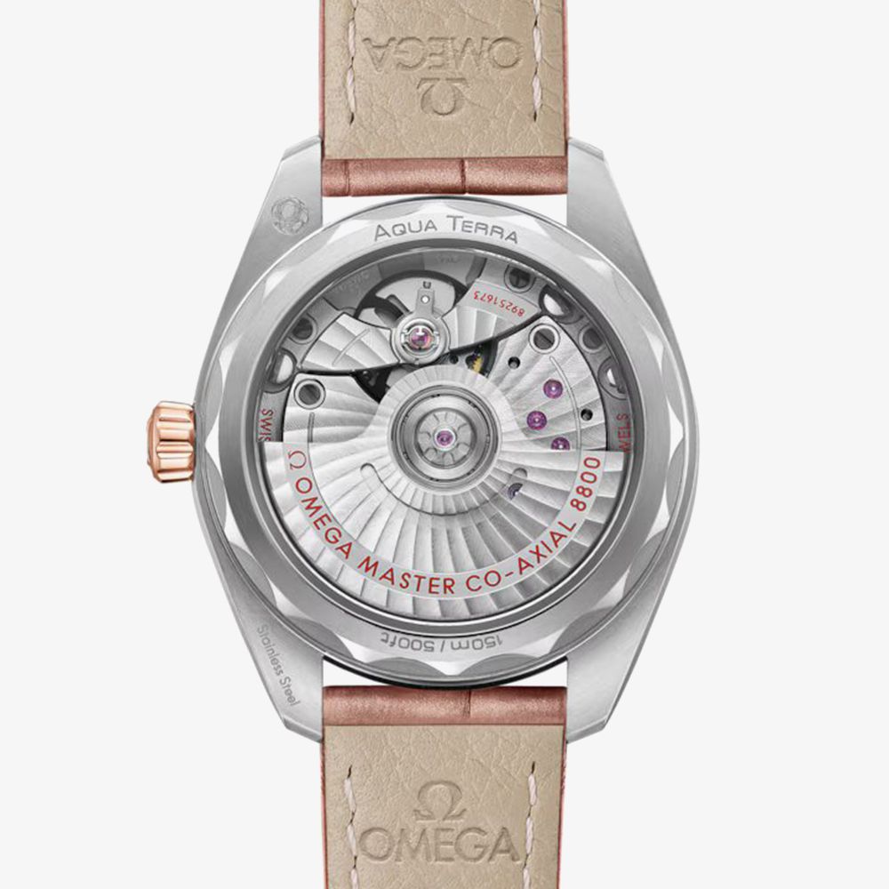 Second Hand OMEGA Seamaster Aqua Terra Co-Axial Master Chronometer ...